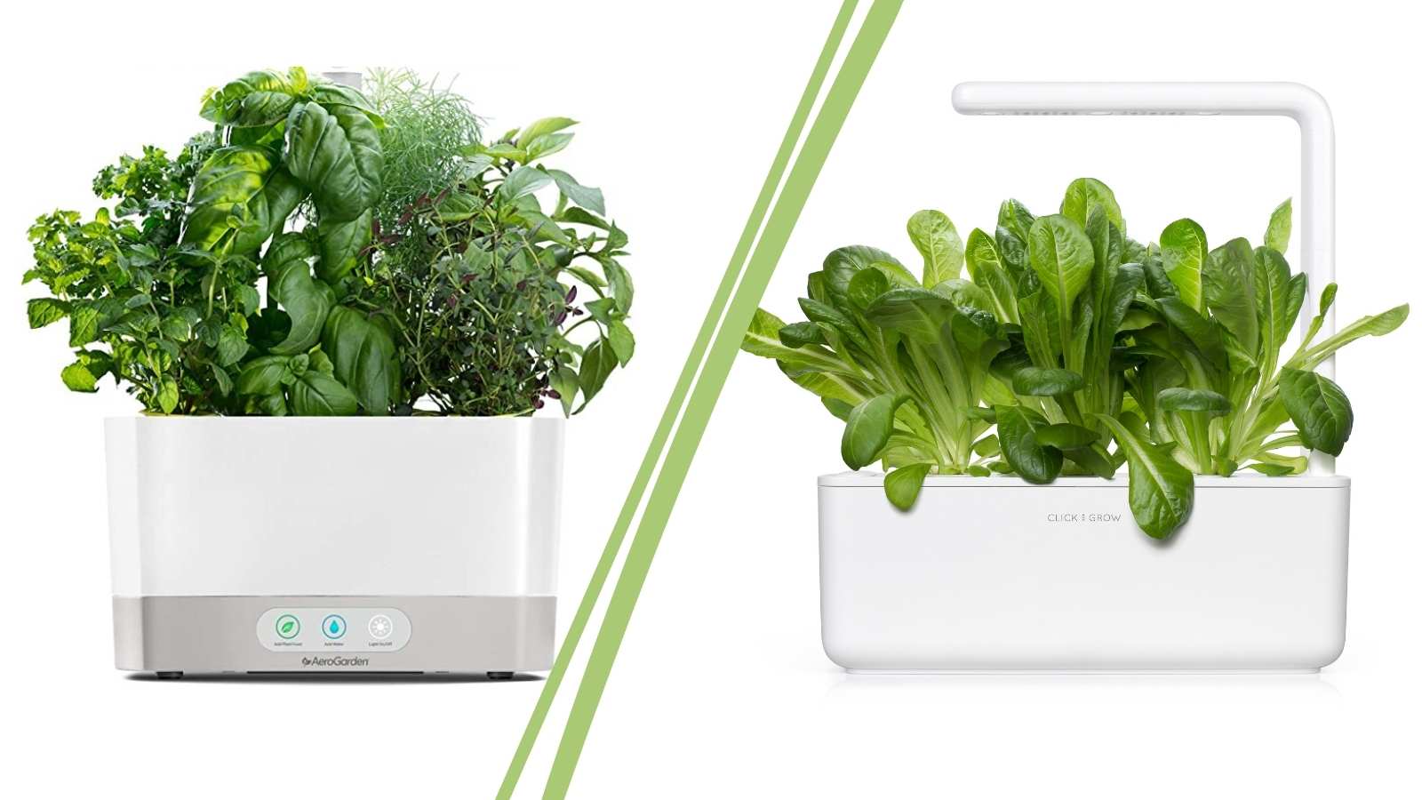 Aerogarden Vs Click And Grow