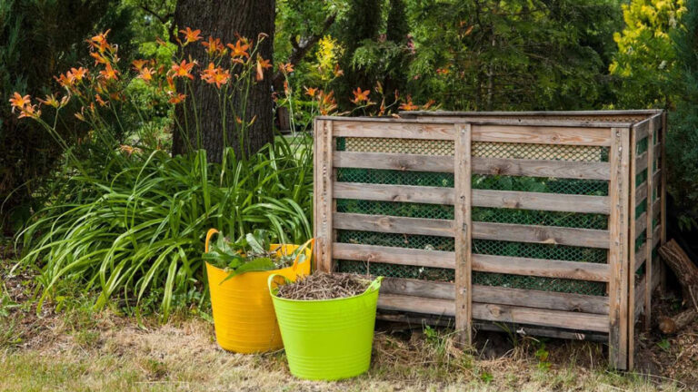 What's the Best Compost to Buy for Your Vegetable Garden?