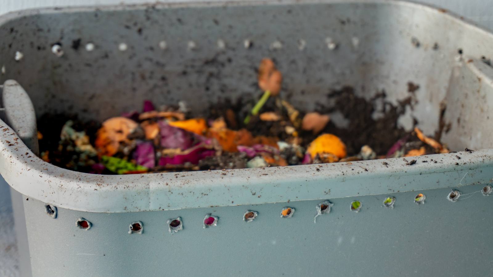 How to Make the Best DIY Worm Bin