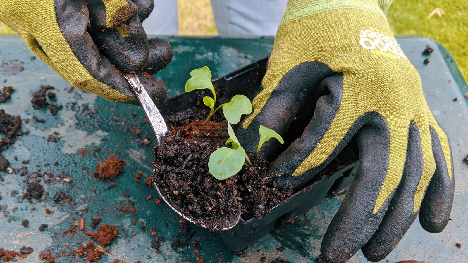 10 Creative Recycled Seedling Pots to Try