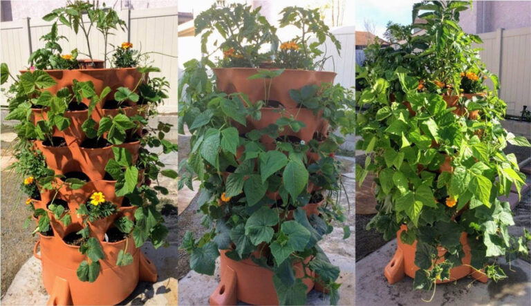 Your Comprehensive Garden Tower 2 Planting Guide