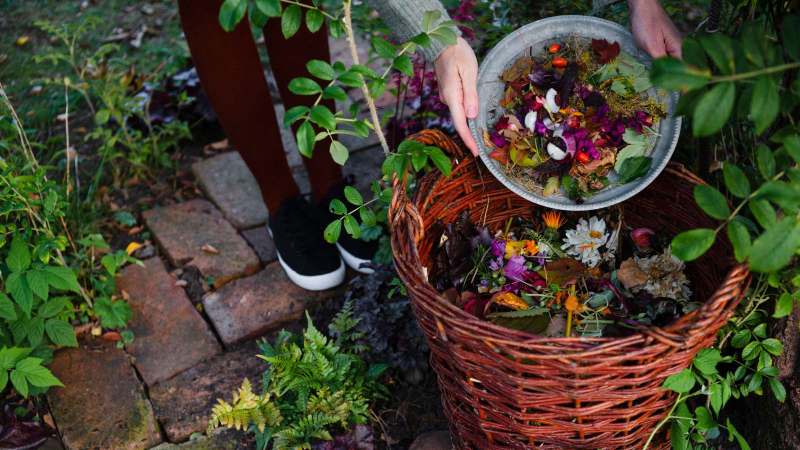 Facts and 10 Benefits of Composting You May Not Know