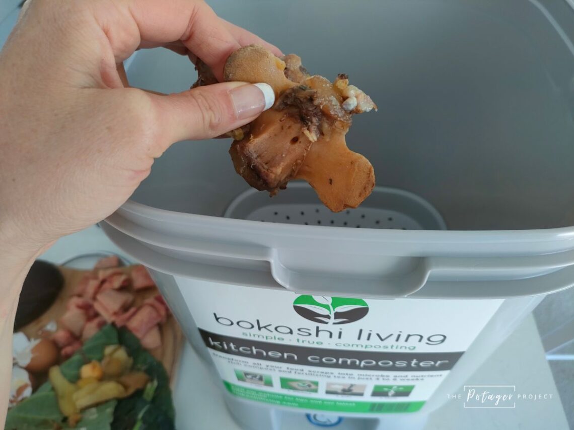 What Can Go in a Bokashi Bin vs What Not to Put in Bokashi