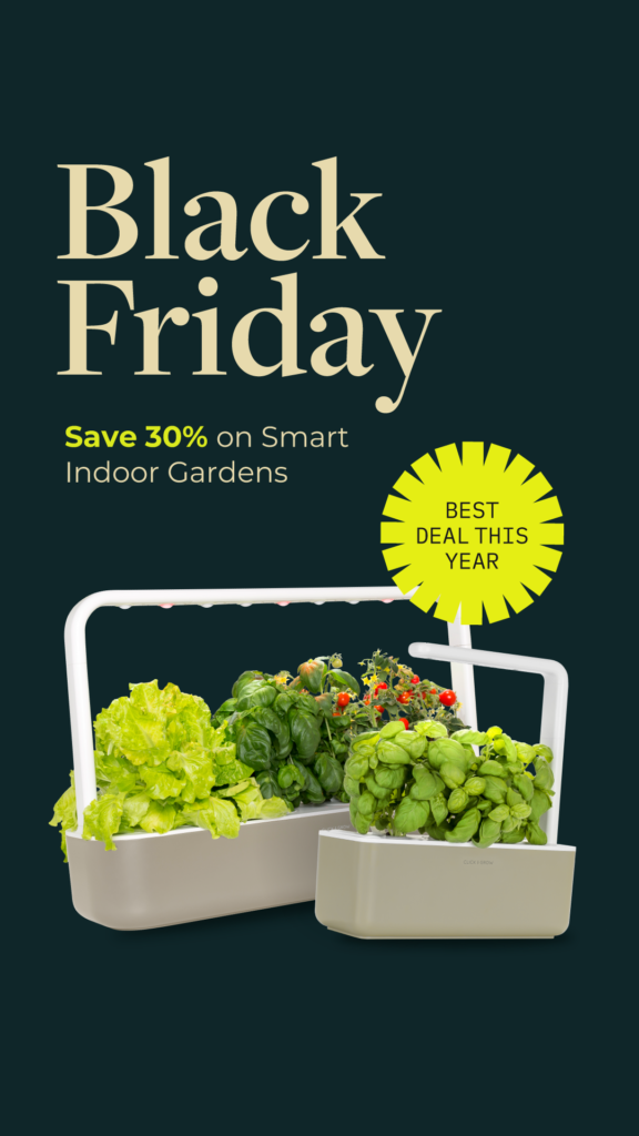 The Best Way to Move Your 'Little Garden' Vegetable Seedlings Outside ...