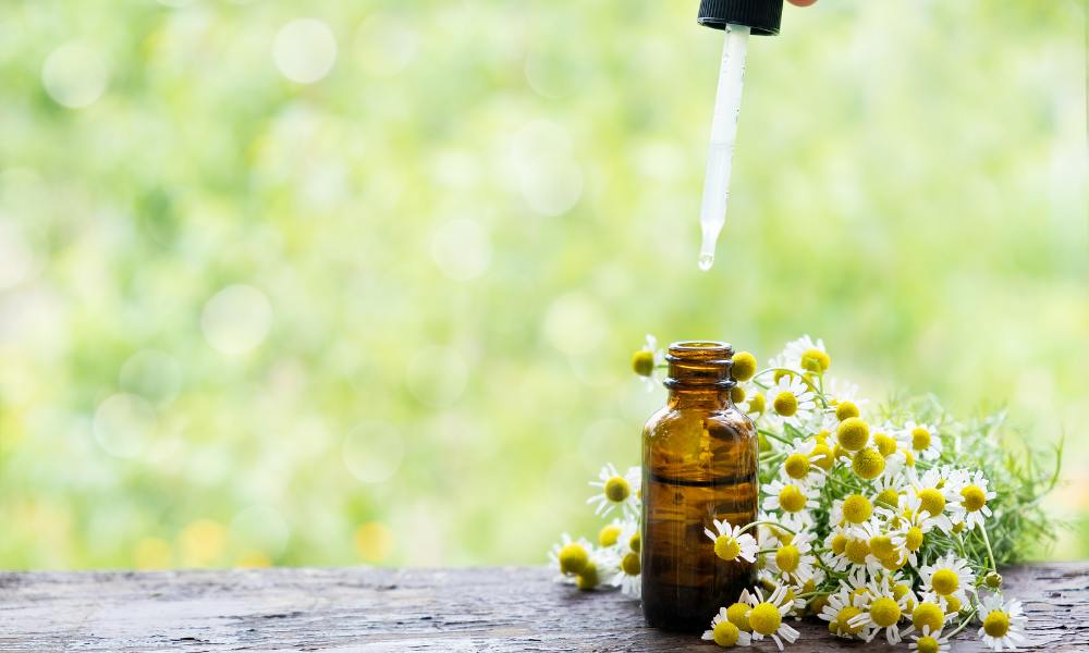 Are Essential Oils Bad for Plants? Debunking Garden Myths!