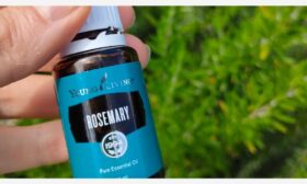 Your Guide to Using Essential Oils for Pest Control