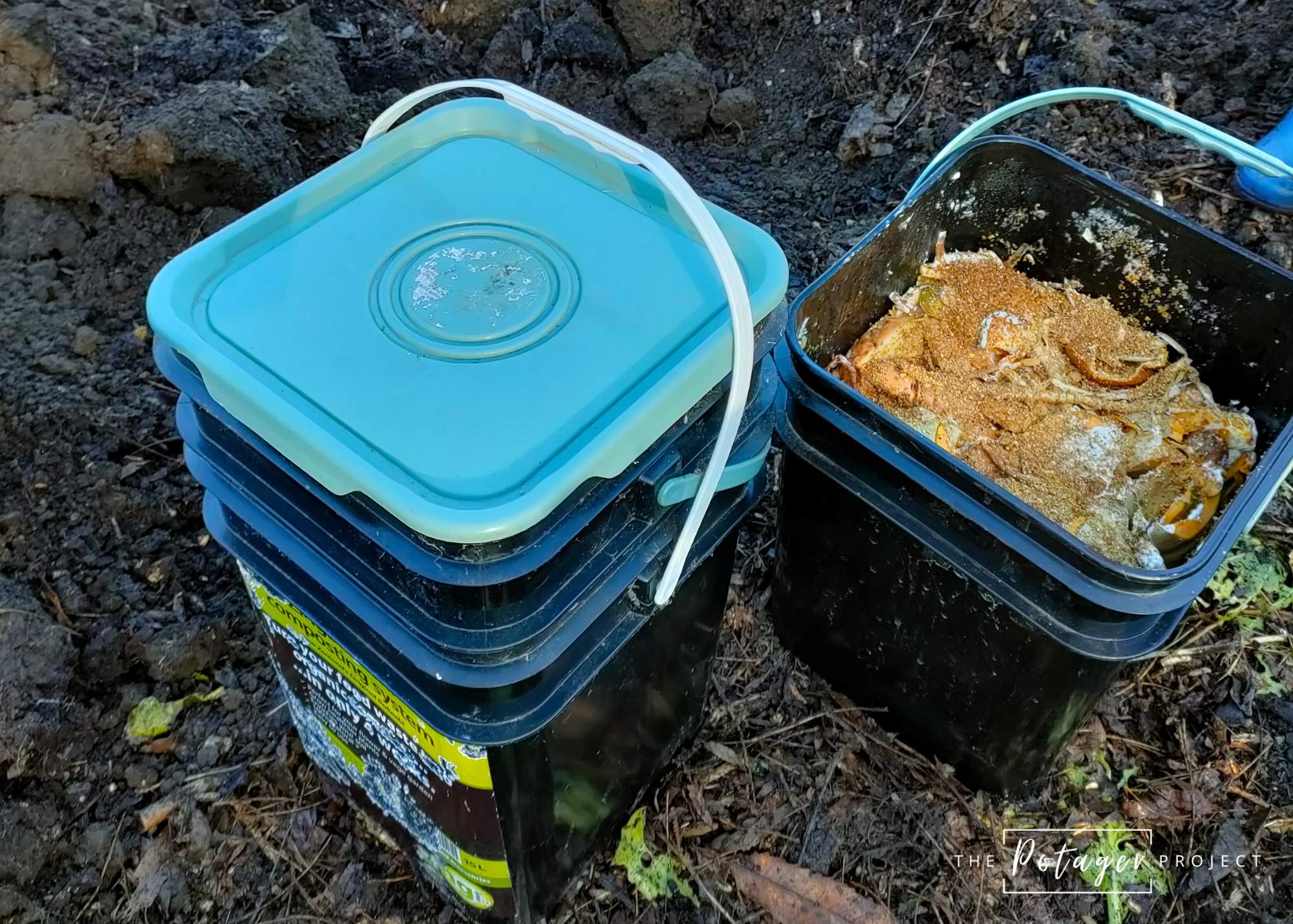 Composting for Beginners: Where to Start