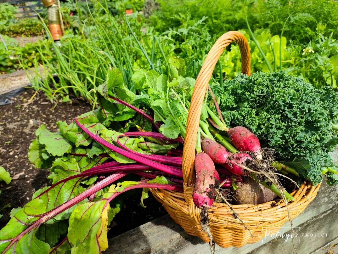 Why Preserve Food? 6 Compelling Reasons to Start Today