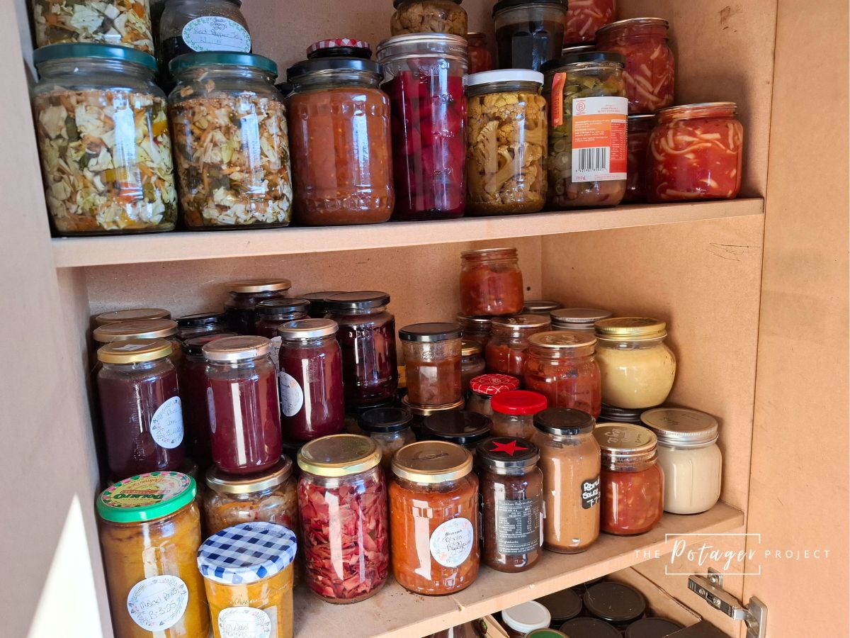 Why Preserve Food? 6 Compelling Reasons to Start Today